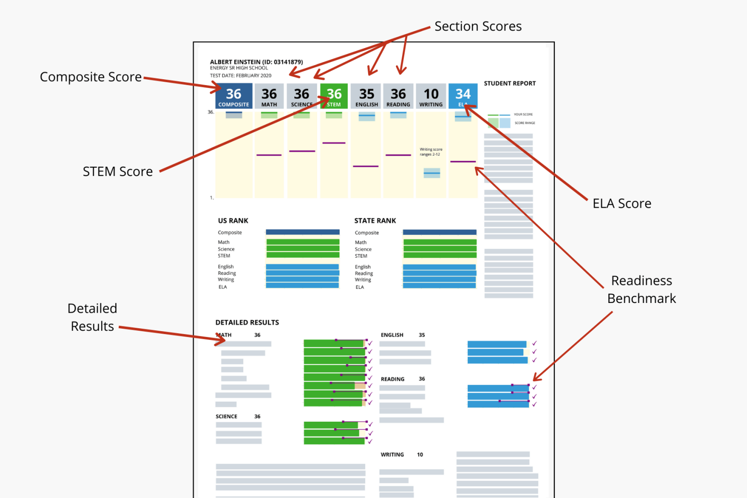 ACT Score Charts: Understanding Your Score & Percentiles